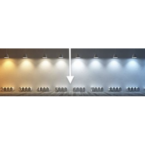 True-Light dimbare pendelled 120x60cm